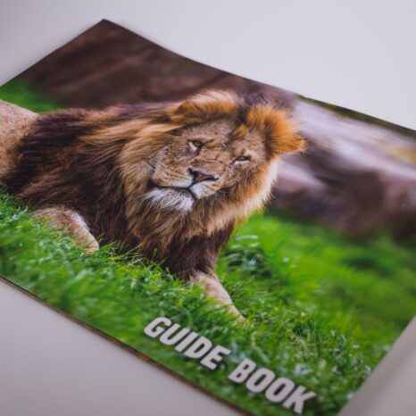 Souvenir Guidebook | West Midland Safari Park | Online Shop